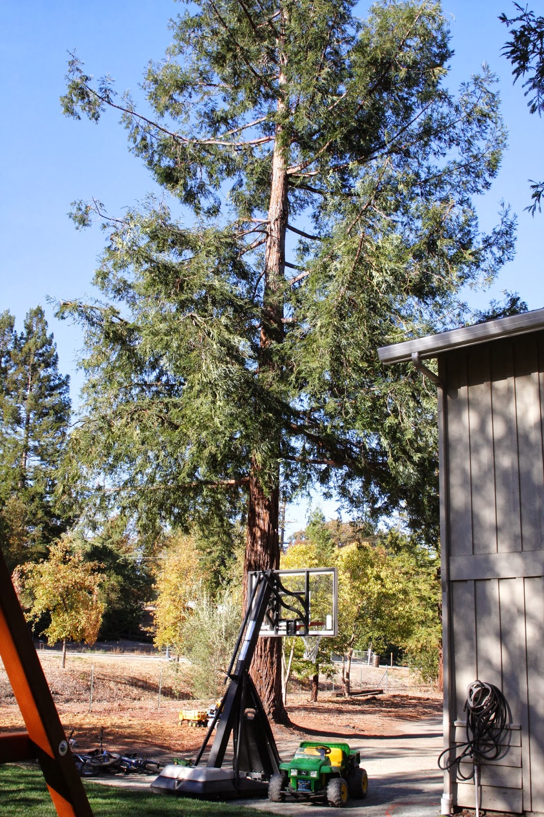 Timber…. - Simply Organized