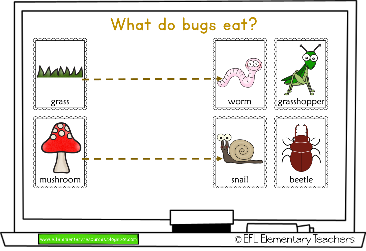 EFL Elementary Teachers: Insects unit for Elementary ESL