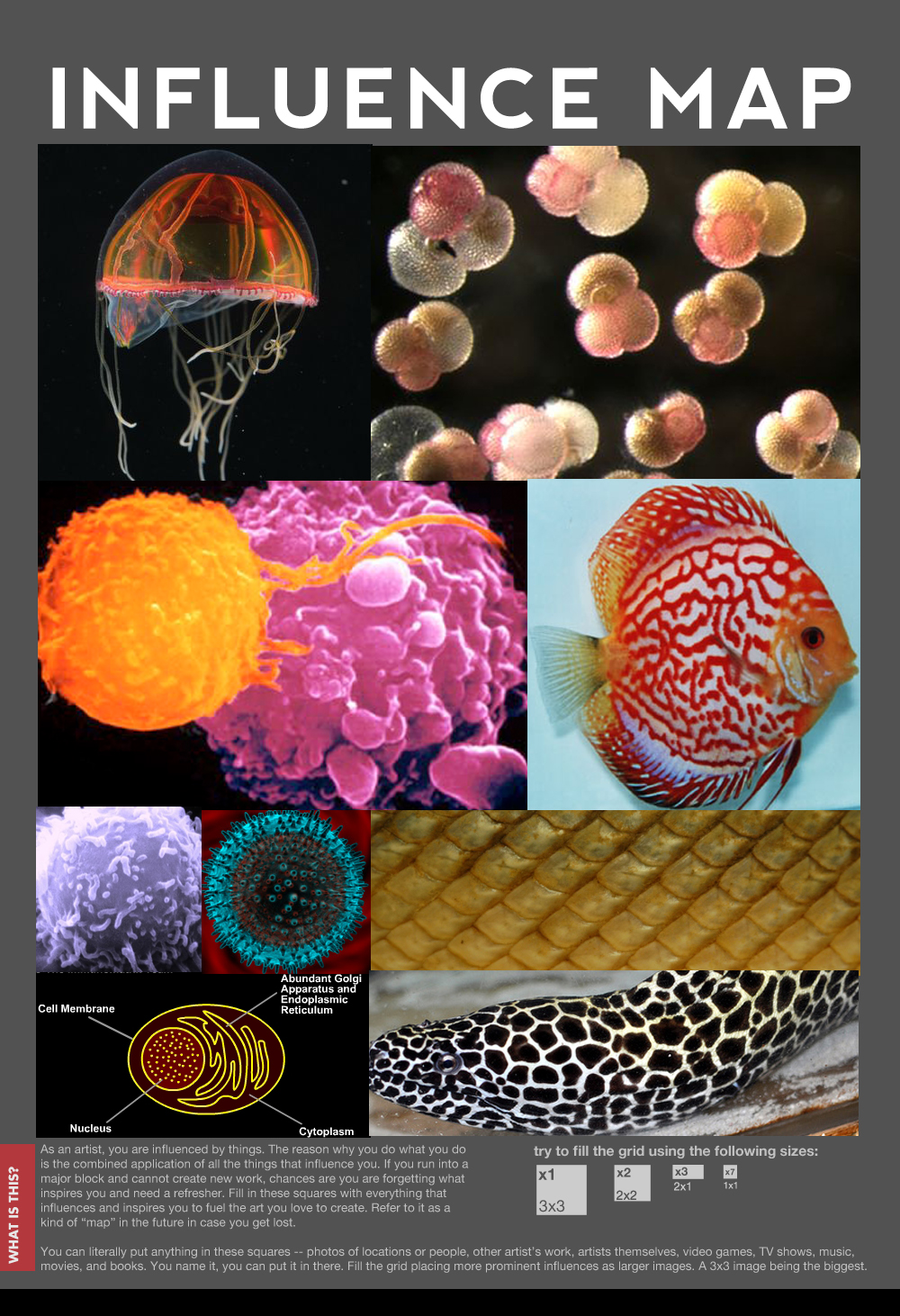 Katy J Negus. BA Hons. CG Arts & Animation: Defined Influence Maps