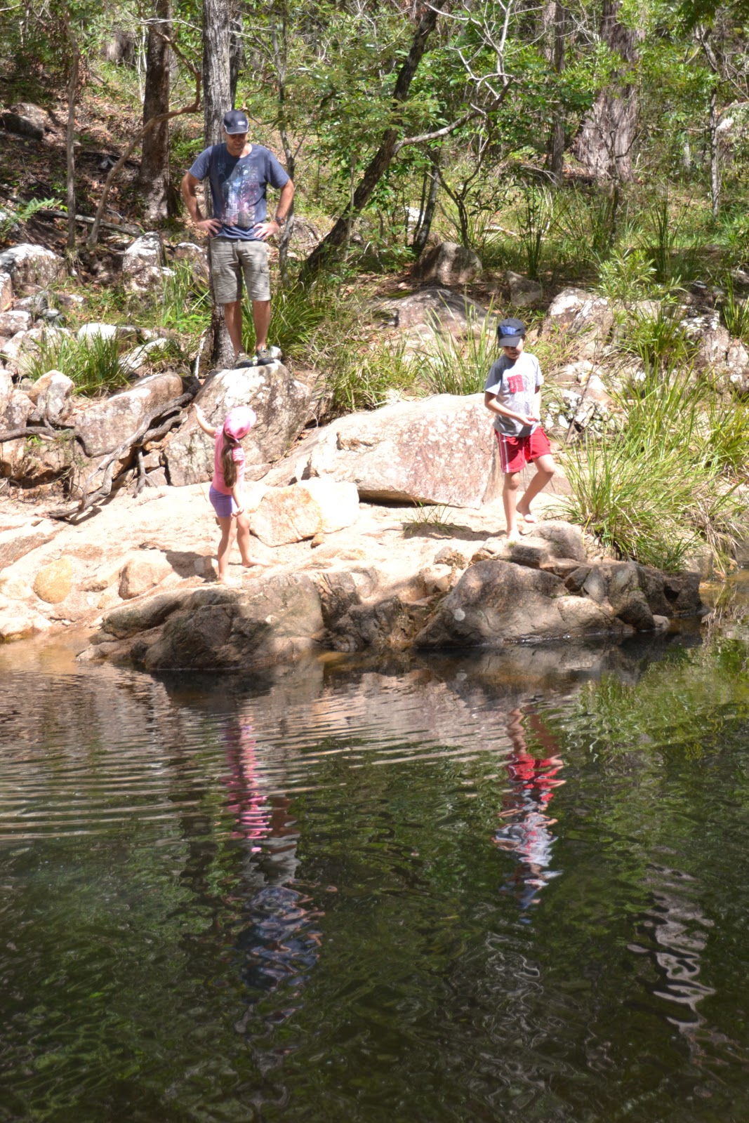 Life & Times: Mothar Mountain Rock Pools at Woondum National Park
