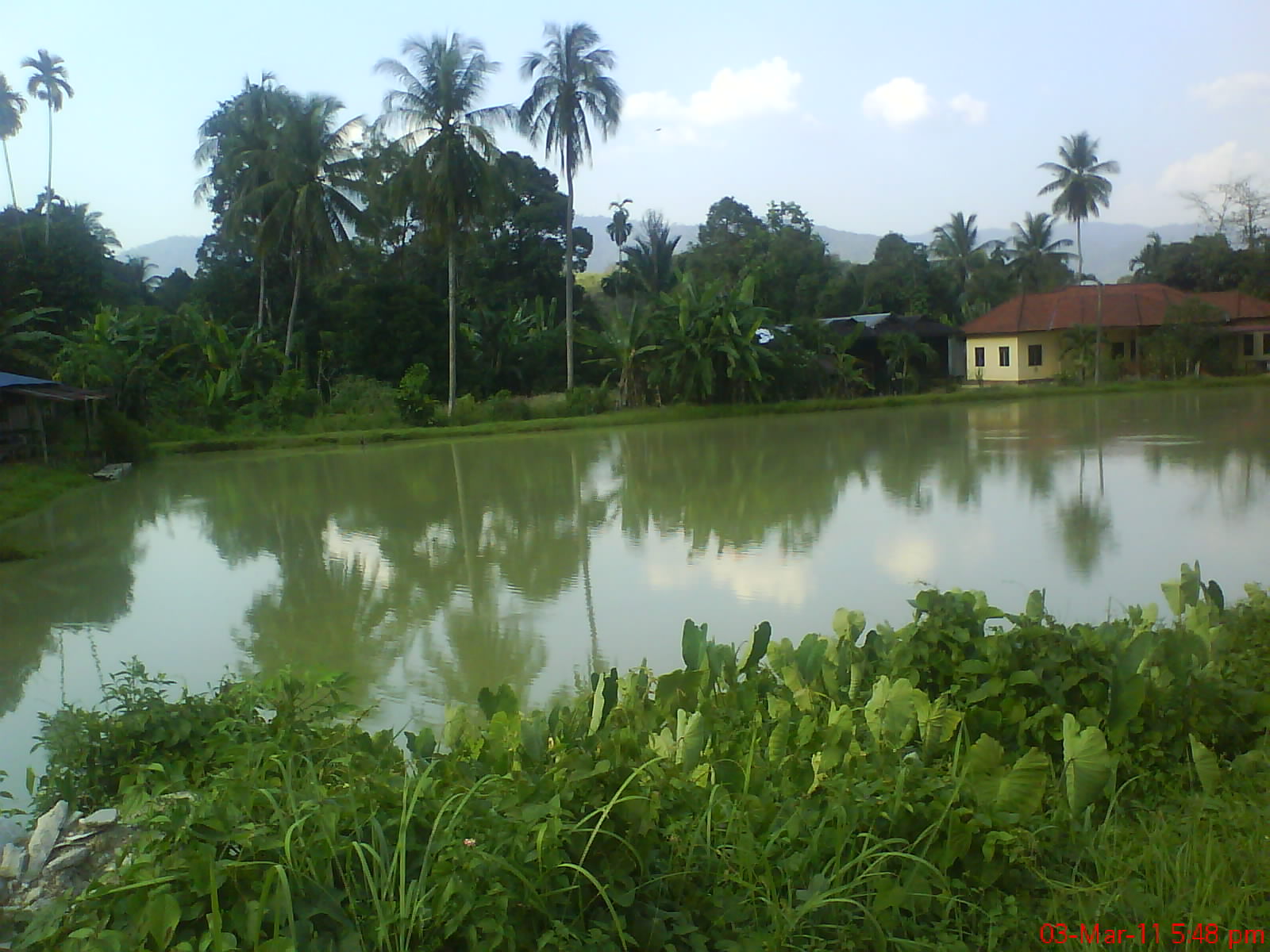 HOMESTAY AN-NAIM (Homestay Di Sik, Kedah): AN-NAIM HOMESTAY, KG. NAMEK ...