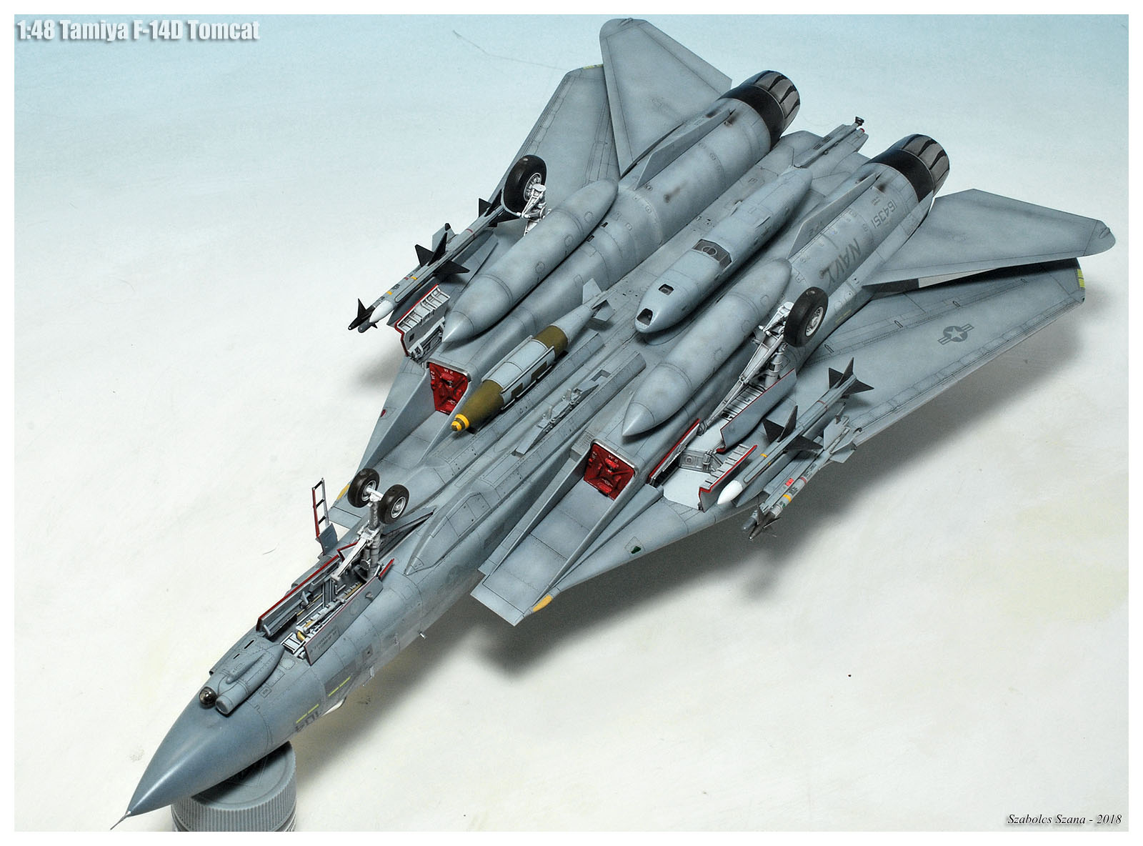 Wings of Glory: 1/48 Tamiya F-14D Tomcat