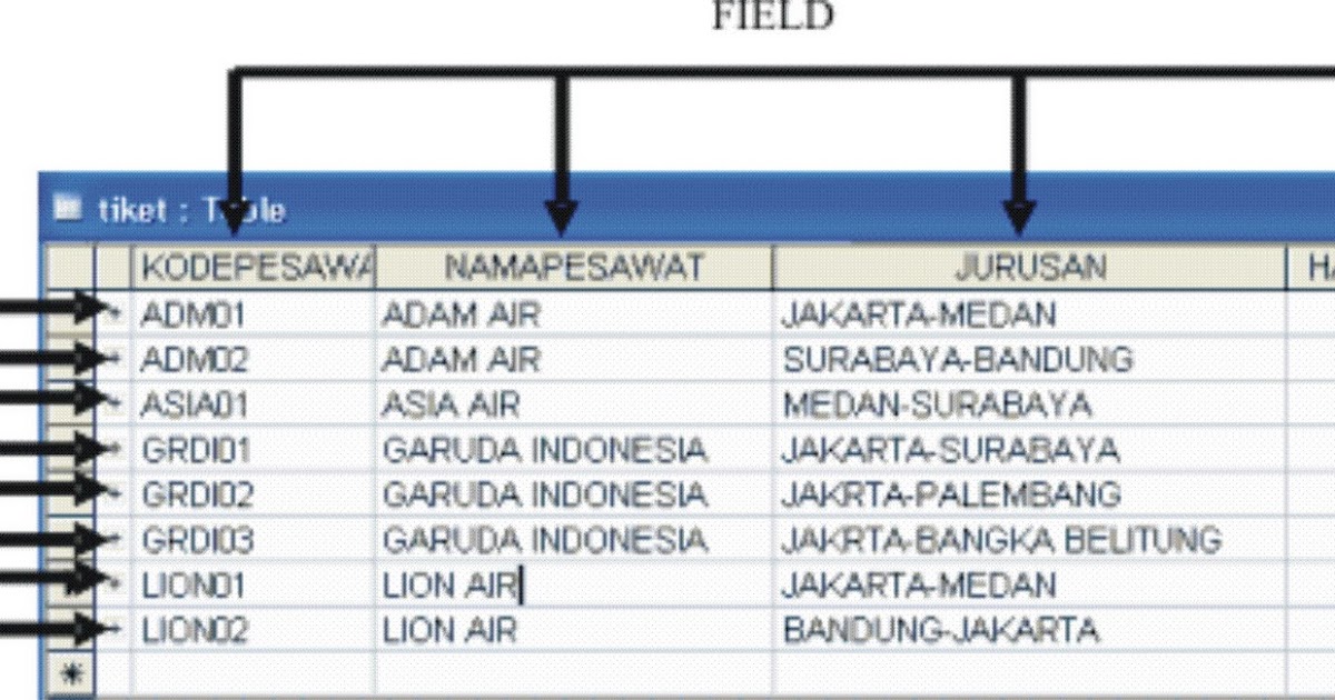 nurlaili17.blogspot.com: BASIS DATA