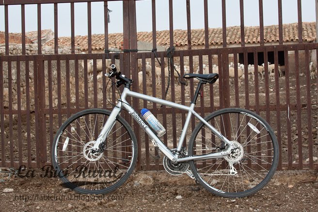 La Bicicleta Rural: Pinnacle Neon two