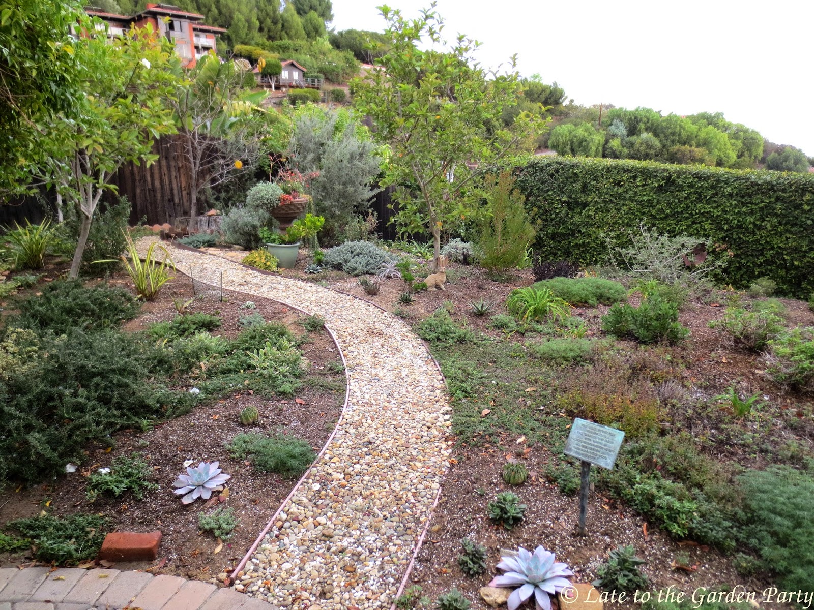 Late to the Garden Party: Wide Shots - December 2014