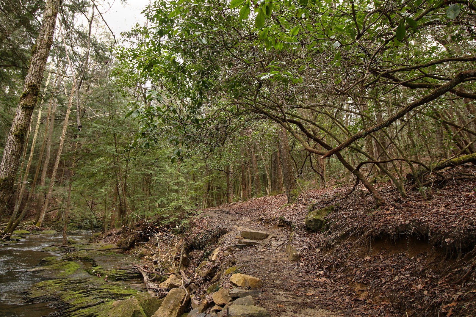 Nomadic Newfies: Entranced by the Magic of Fiery Gizzard