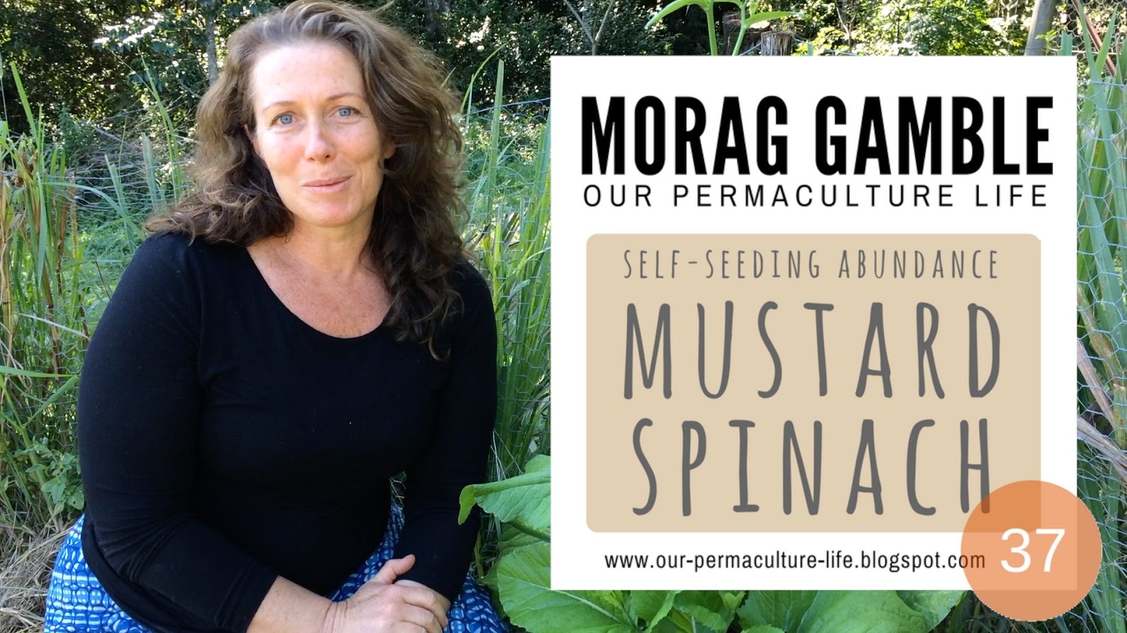 7 Ways To Eat Mustard Spinach Food For Free Our Permaculture Life