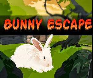 Bunny Escape | Juegos de Escape. Escape Games. Escape Room Online