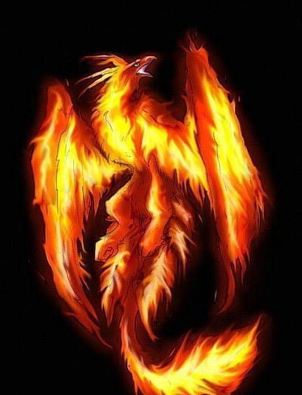 EL Rincón de Yanka: EL TESORO DEL CÓNDOR DE ORO Y DE FUEGO