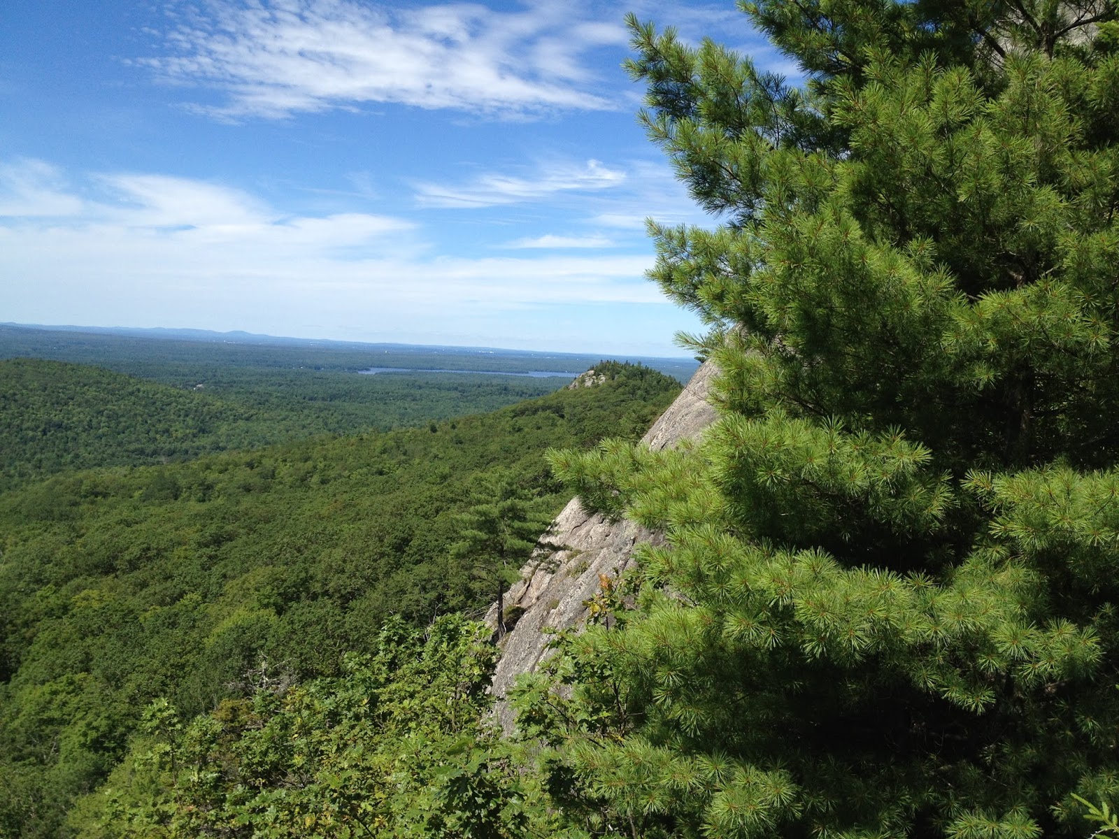 PTSD: A Soldier's Perspective: (Thriving) Chick Hill