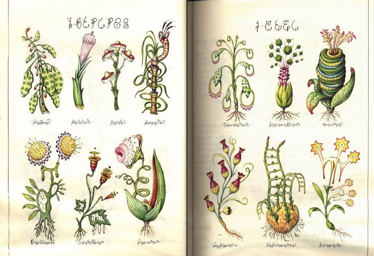 alchemical archives: Luigi Serafini: Codex Seraphinianus (Abbeville ...