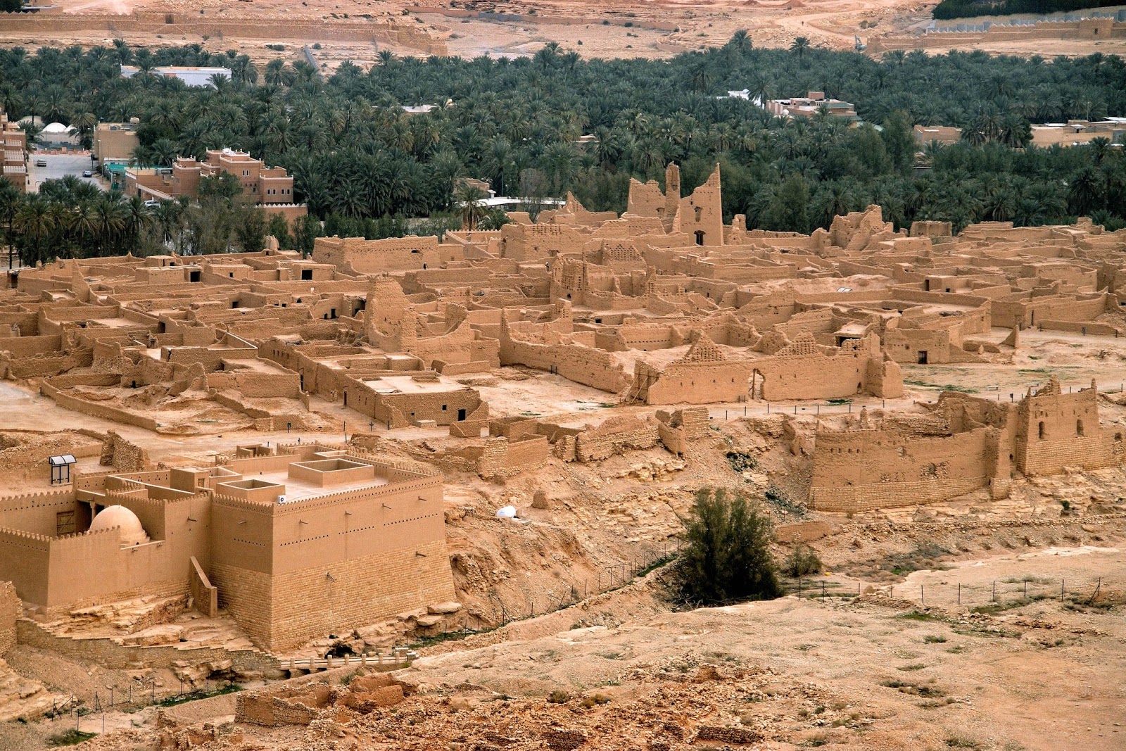 Icono ADN Spain 08: Indígenas .........Pueblos Semitas .........