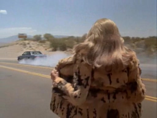 THE CANNONBALL RUN 2