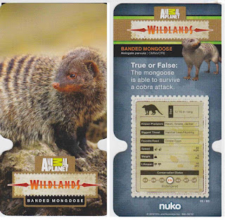 Bonggamom Finds: Animal Planet Wildlands Cards