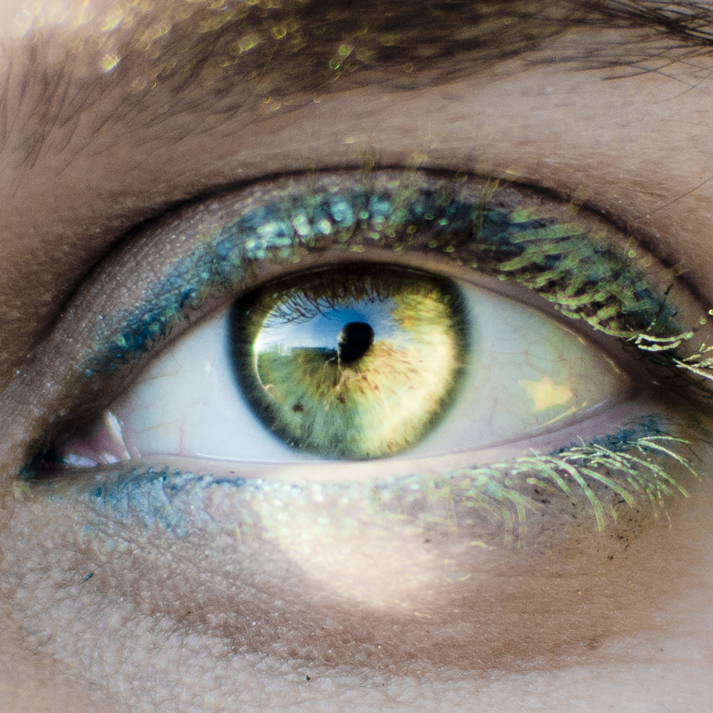 alewop: En busca del ojo perfecto