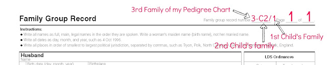 Family Group Record Numbering