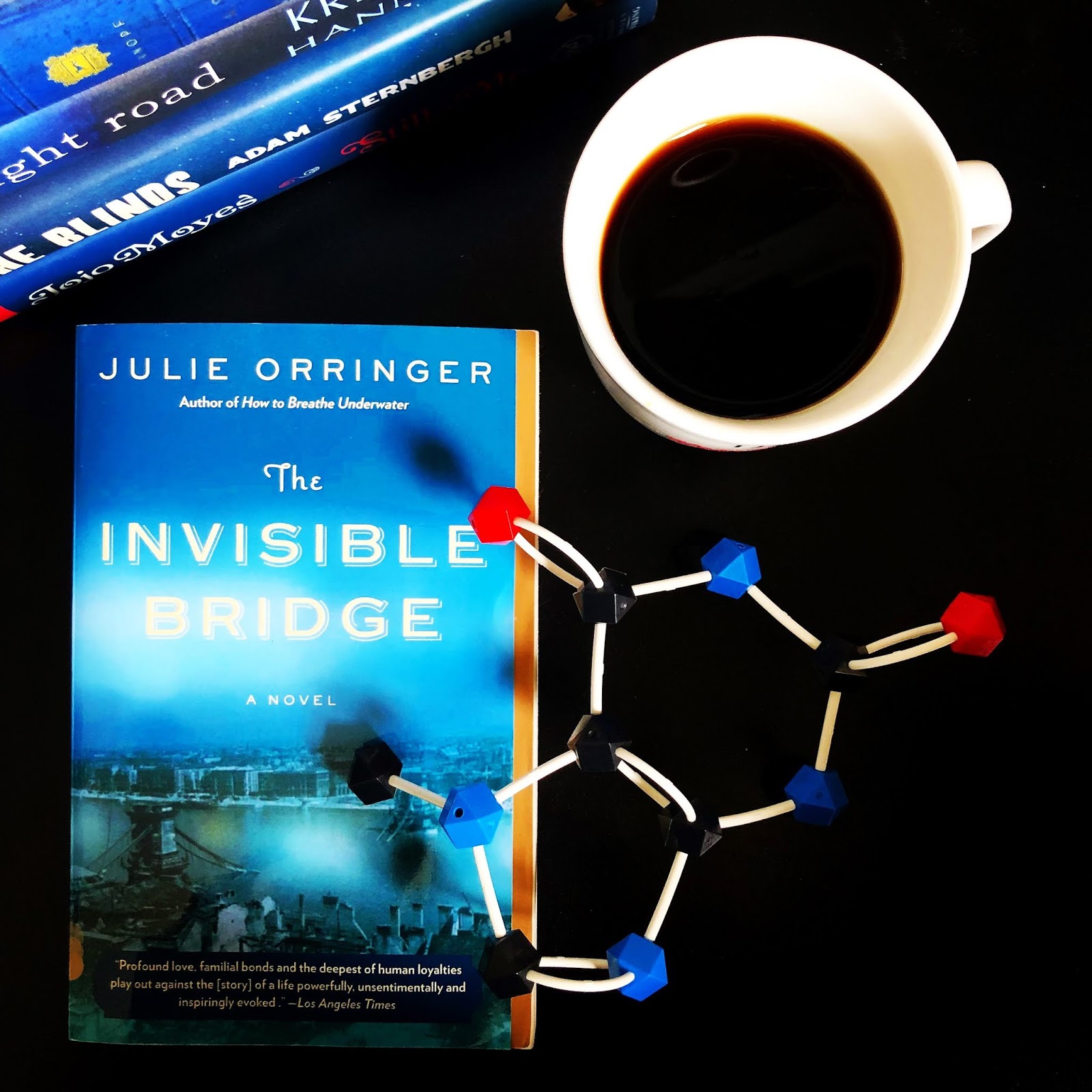 Review: The Invisible Bridge