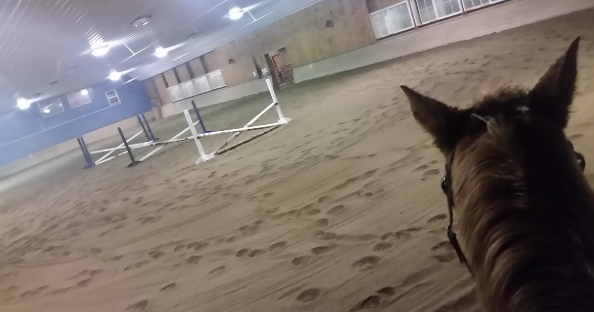 Apping it up: My mare is the best mare