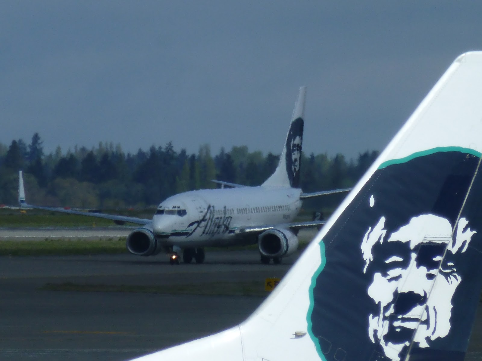 Flight To Success: Aviation Inspiration, Motivation, and Change...