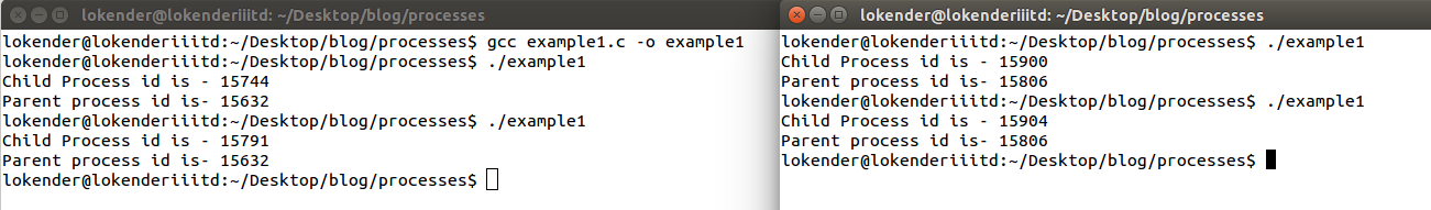 A practical explanation of difference between parent and child process ...