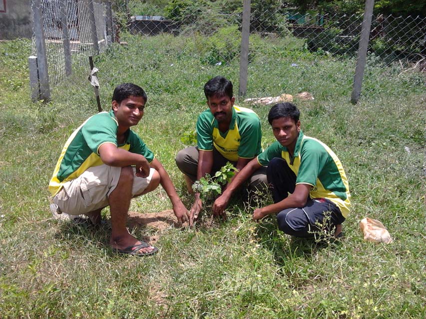 Pillars of India: The Green 500 Tree Plantation Project at Arani by ...