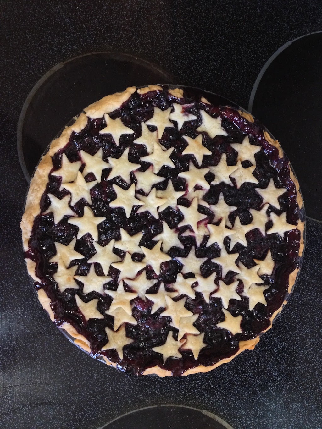 Old Fashioned Pie Crust | Guide for Alaska's Disappearing Tourist: Recipes