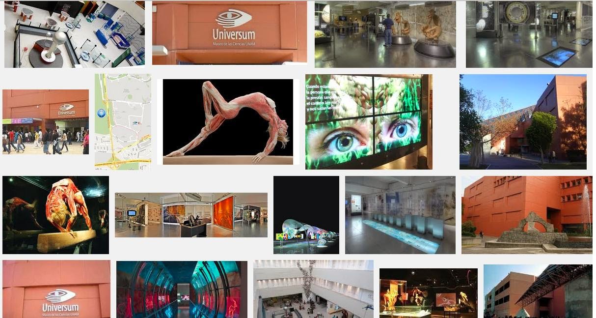 Ecoturismo México: Universum Museo de las Ciencias