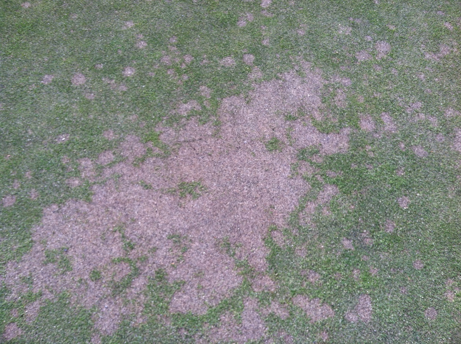 Marquette Golf Club Grounds