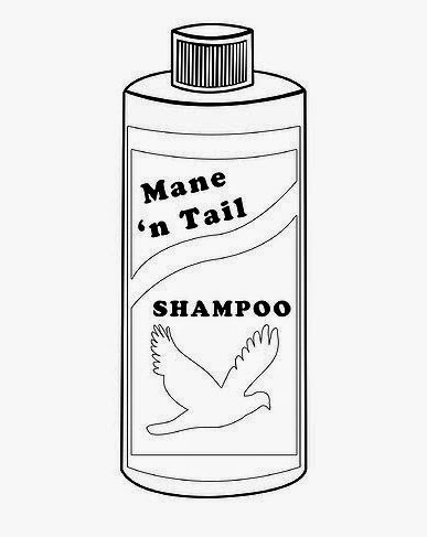 Ermelinda Behm Journal: How to Draw a Shampoo Bottle