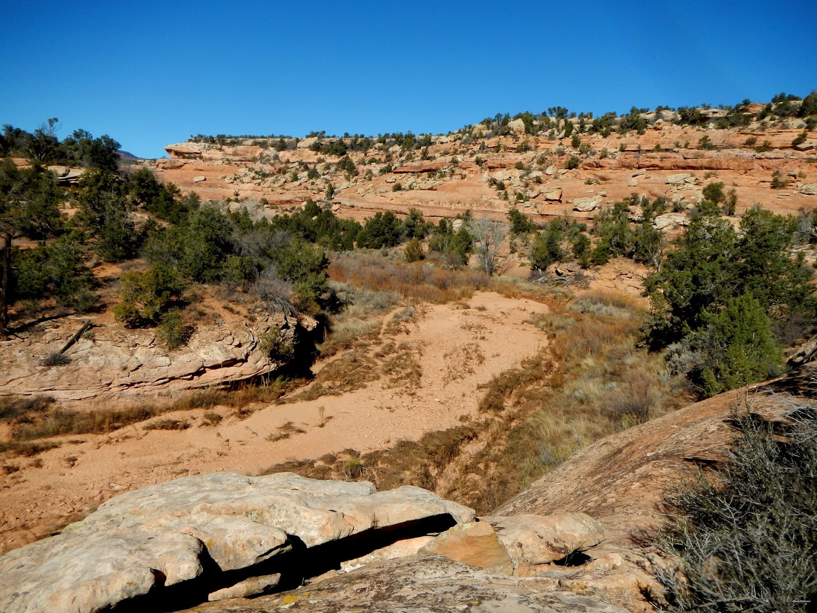 The Southwest Through Wide Brown Eyes: House on Fire Ruins and Trail.
