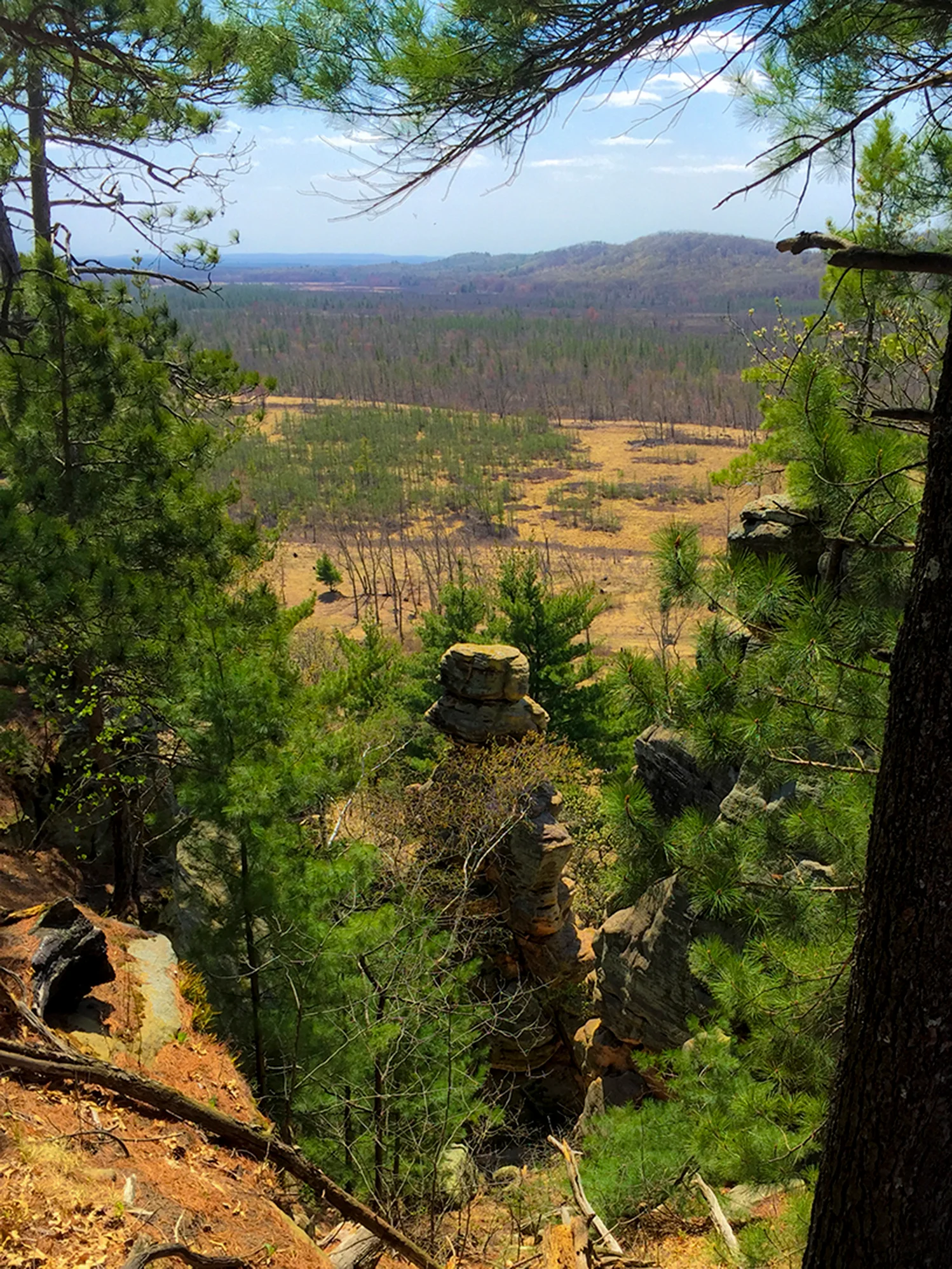 Hiking The Lone Rock Trail at Quincy Bluff
