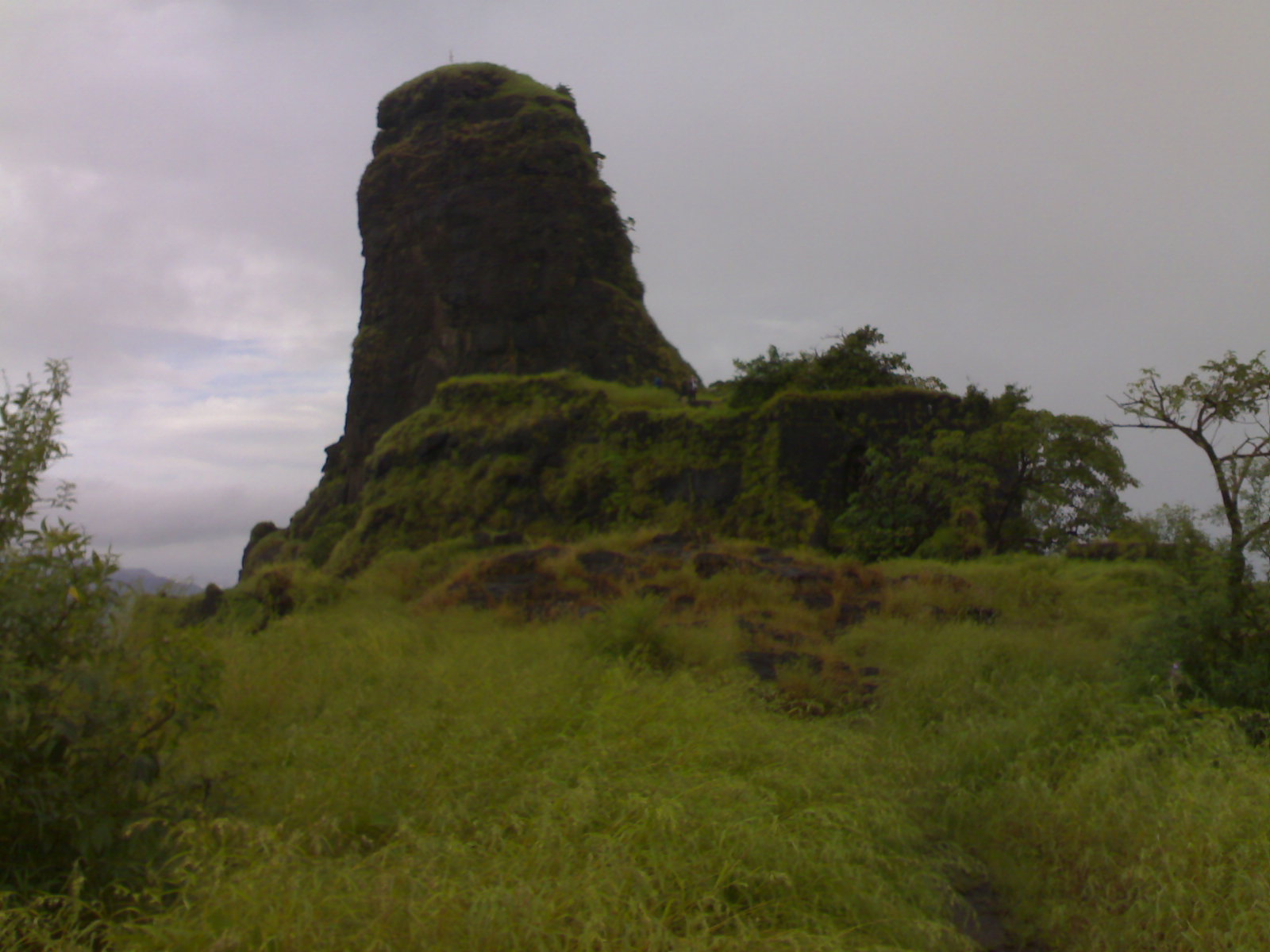 Nature Knights: Karnala Fort