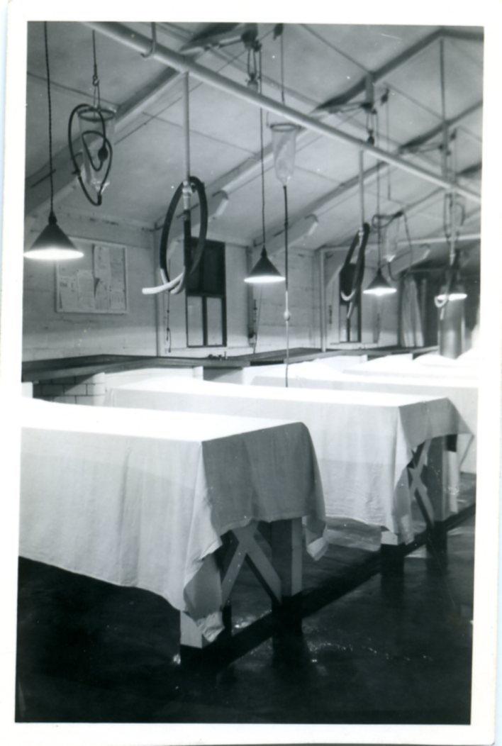 The Graveyard Detective: Waiting for the Embalming Process to Begin