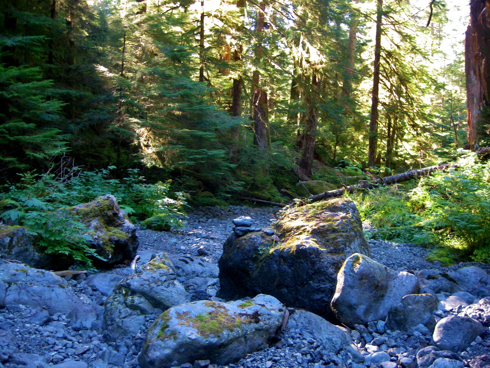 Olympic Peninsula Hikes, Guides and Updates: Colonel Bob Peak and Pete ...