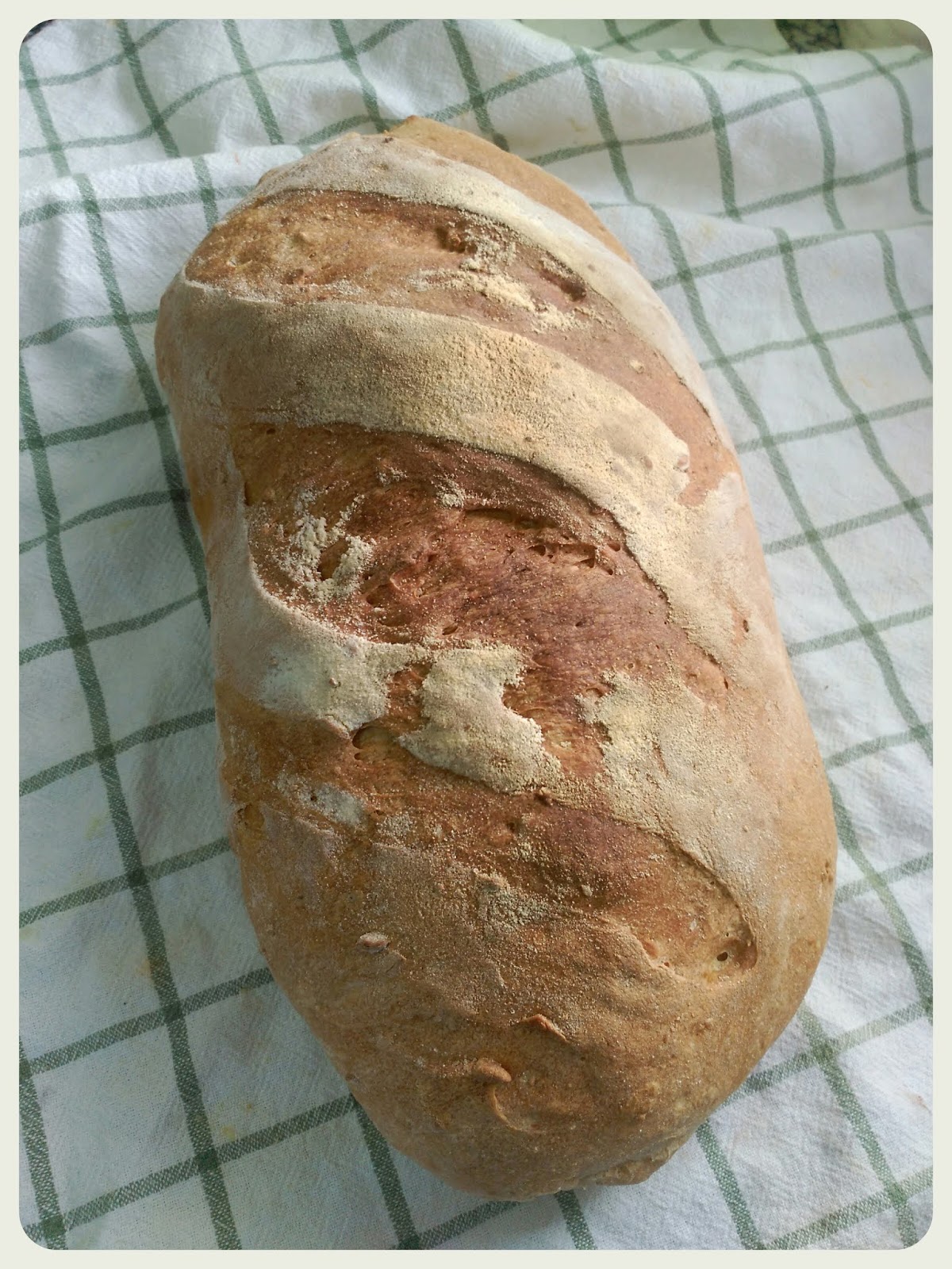 VIRGINIA CONSUSCOSAS: PAN