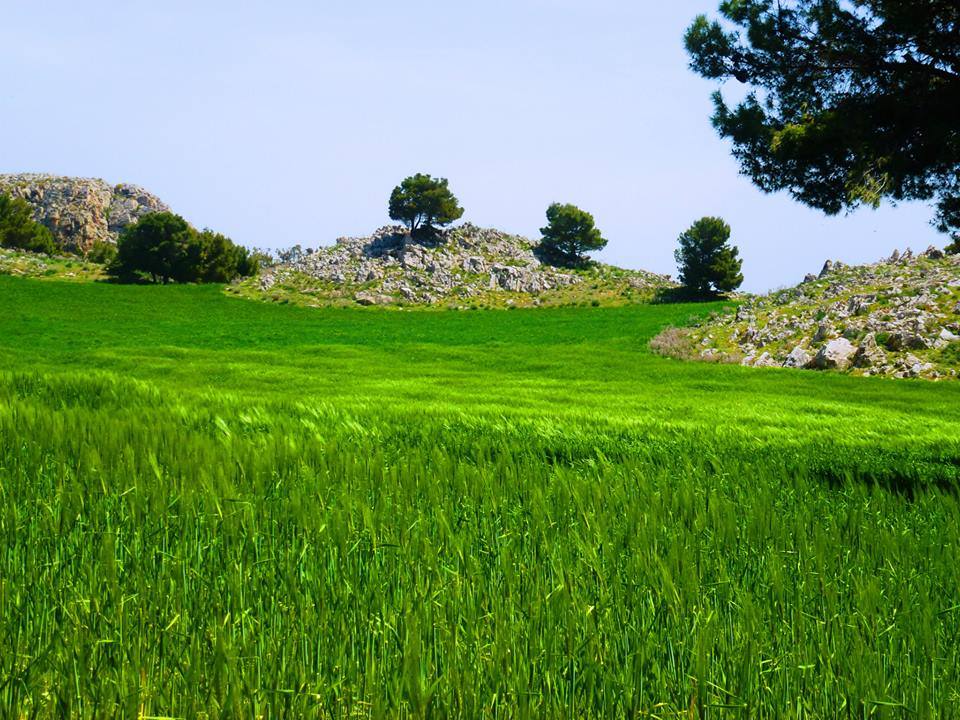 19e Randonnée : Kef Ghrab - Kef (+15Km)