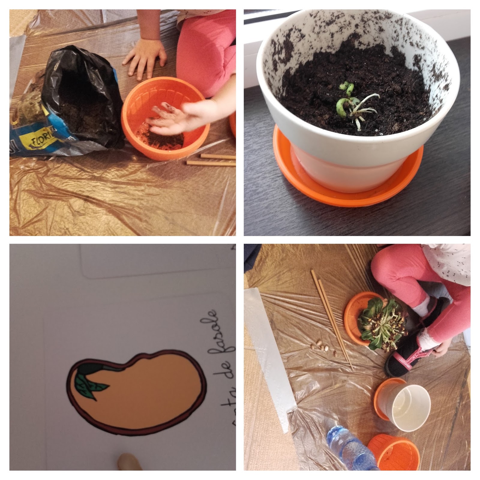 Invata prin joc: Experimente distractive pentru pitici