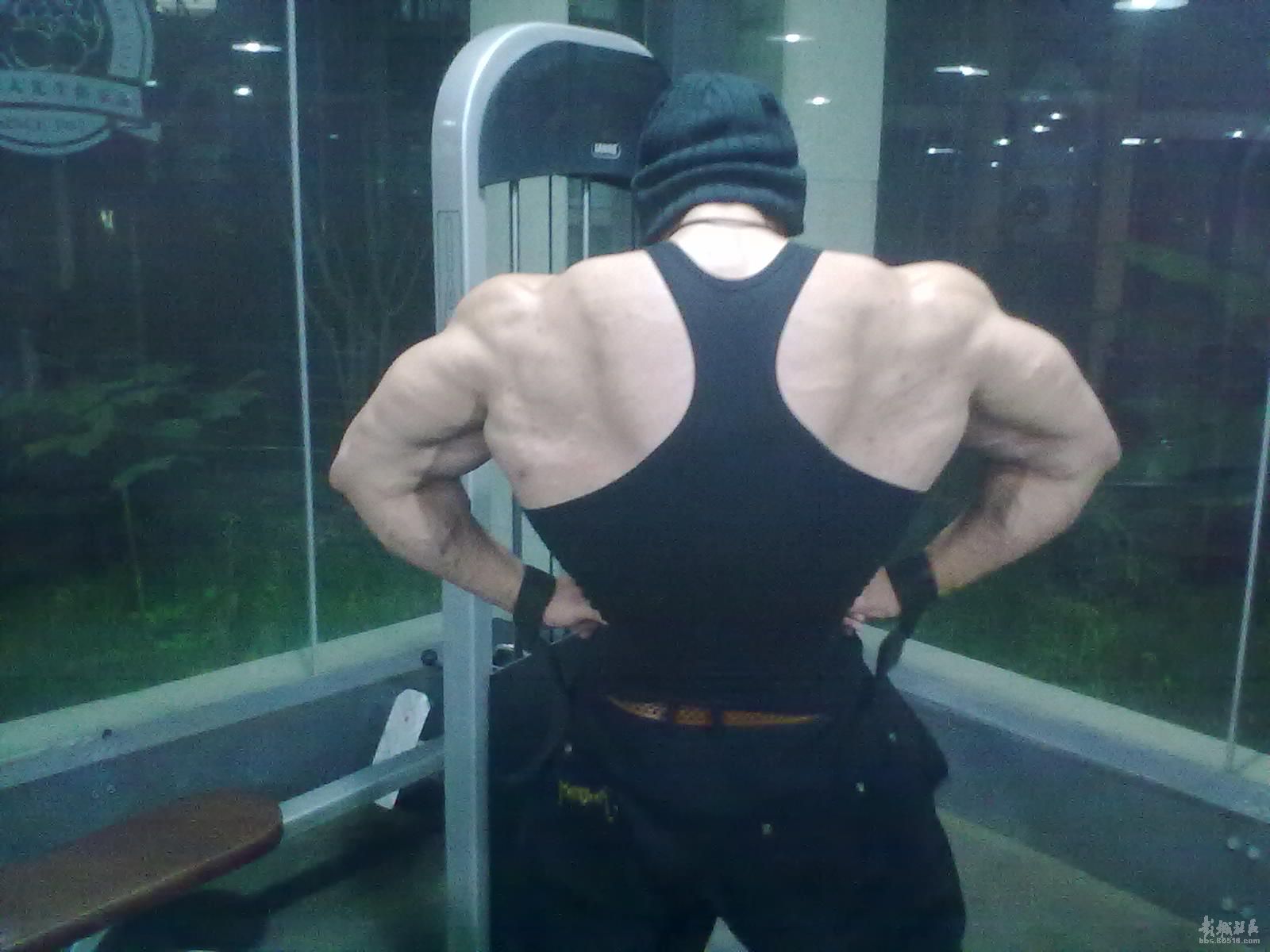 AMP - asia muscle picture: Lu Chen Hui (2)