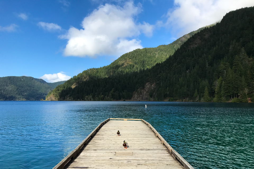 ink + adventure: Olympic National Park, WA // Lake Crescent and ...