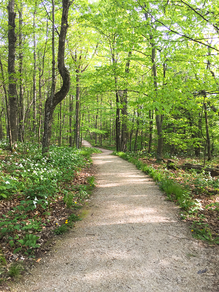 Hiking Ellison Bluff in Door County