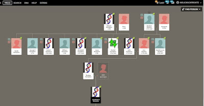 Nolichucky Roots: Claiming Robert Hampton ~ a DNA victory