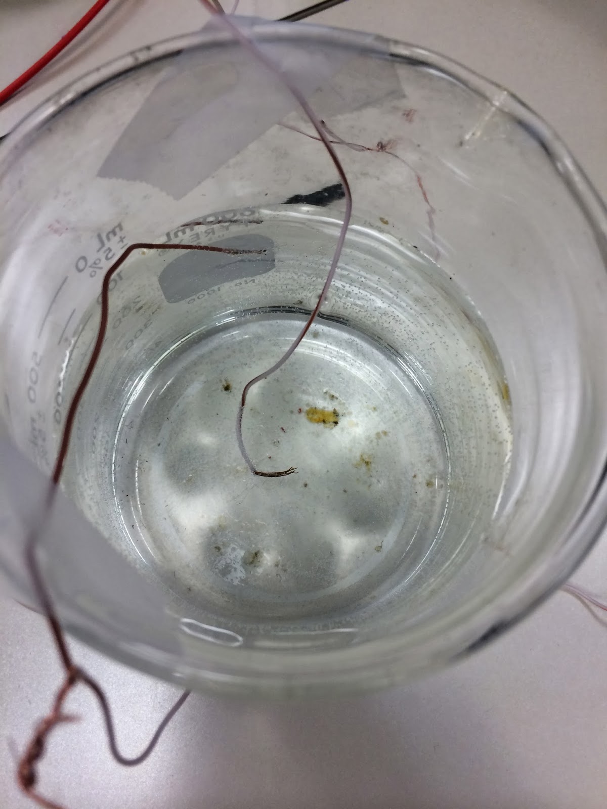 Contemporary Science and Innovation: Fuel Cell Experiment