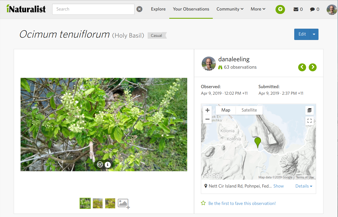 Ethnobotanical Use observation field in iNaturalist