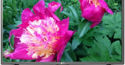 Master Electronics Repair !: REPAIR / SERVICING TV LG 49LF510V