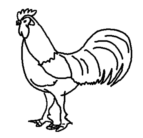 Belajar mewarnai gambar binatang ayam untuk anak
