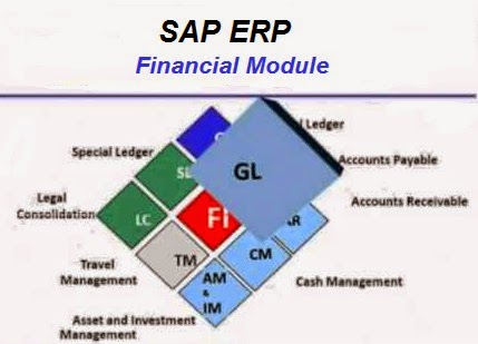 SAP ERP Financial Module User Guide ~ Quick Information