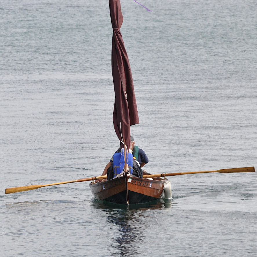 DoryMan: Stickleback Dory (Amberjack)