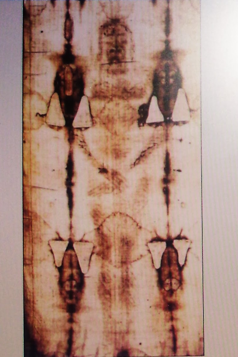 Santo Volto di Gesù: 2014