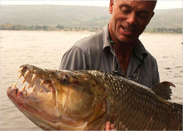 Mentes Imundas e Belas: Monstros dos rios por Jeremy Wade