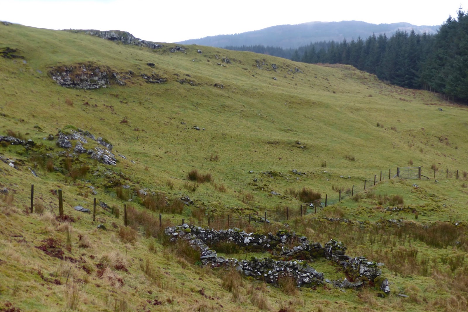 A Kilchoan Diary: Southeast of Loch Mudle